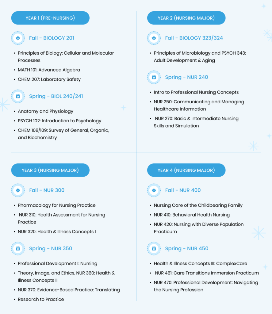 RN To BSN Curriculum: How To Earn A BSN As A Registered Nurse ...